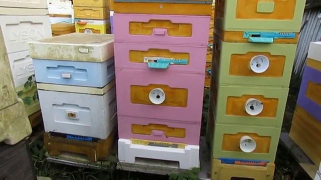 12 рамочный улей на пасеке - подготовка к зимовке, зимовка на воле, весенний осмотр после зимовки