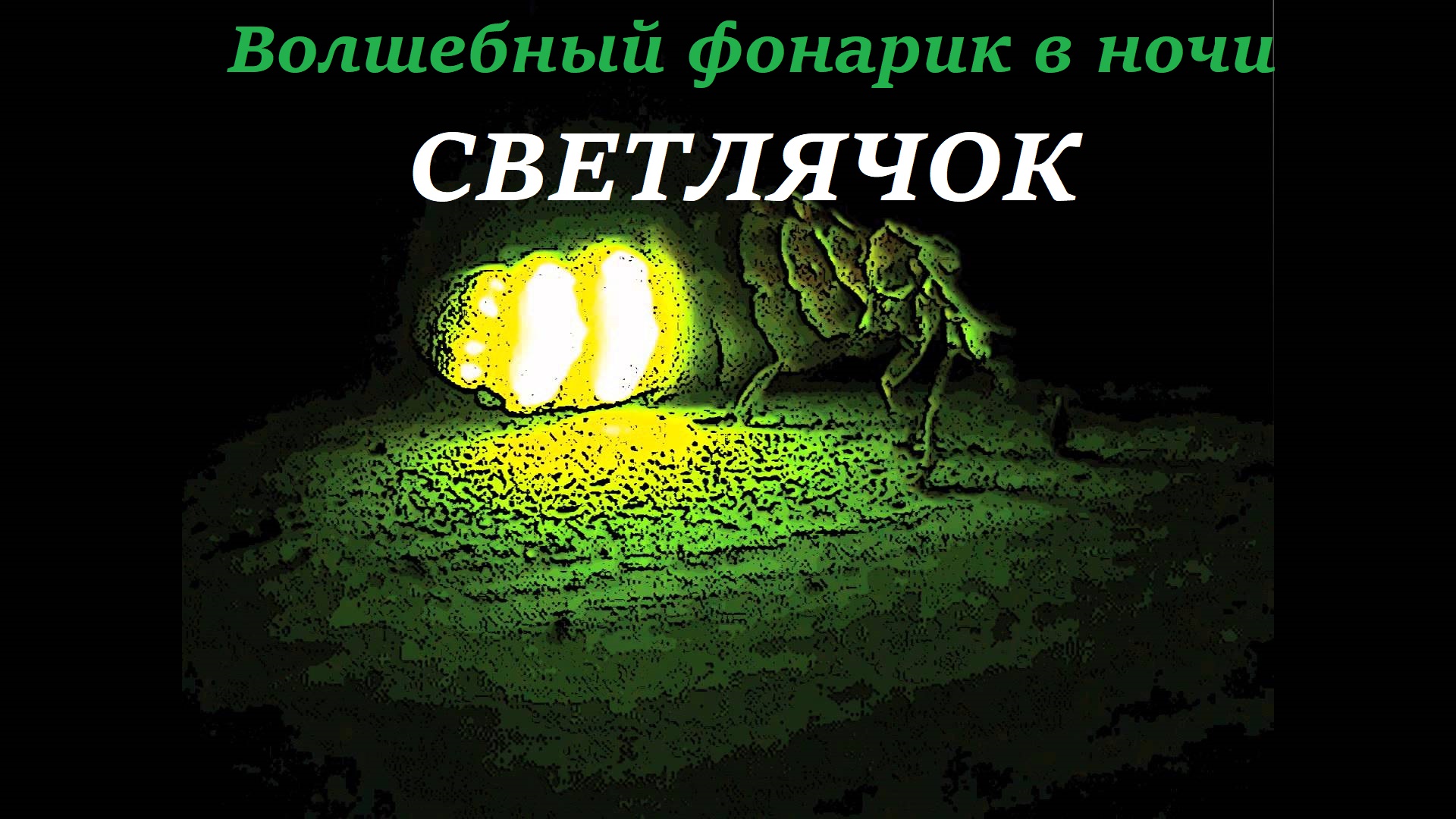 Ночная охота на светлячка. Волшебный фонарик