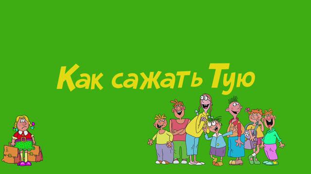 Как сажать Тую?