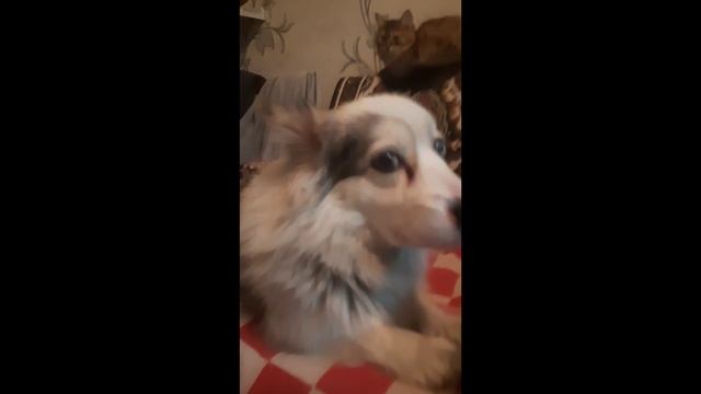 Бэтти охраняет Анфиску.