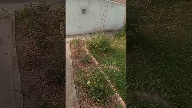 Скважина промылась, вода чистая, железо не чувствуется
