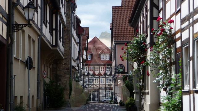 013.8 августа День крысоловных мелодий