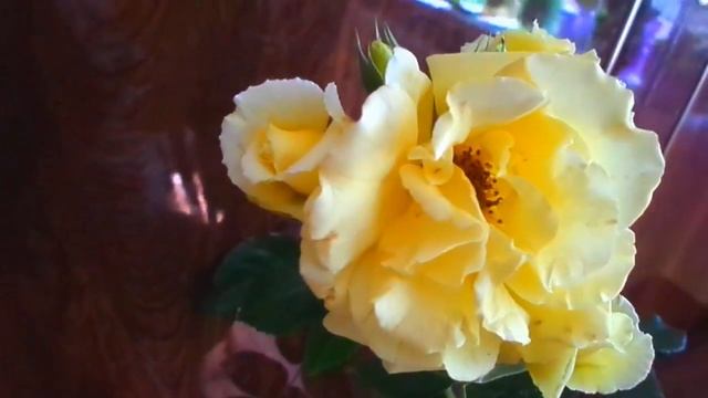 Качество видео. Цифровой фотоаппарат SAMSUNG DV150F  Video quality. Digital camera.mp4