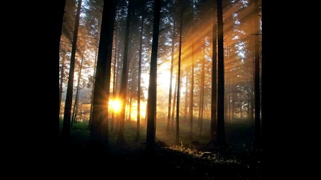 Библия. 38-01. Книга пророка Даниила (01). В третий год царствования Иоакима.