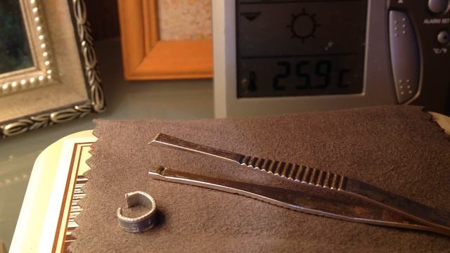 У попугая Кеши колечко на лапке. Что написано на колечке