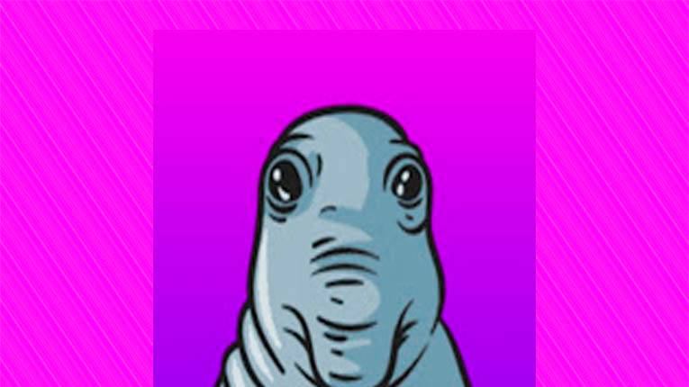 Dalmee - История Канала