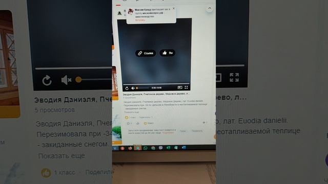 Статистика охвата аудитории на разных платформах с видеоинформацией