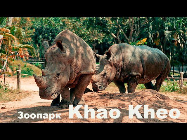 Зоопарк Khao Kheo: мир общительных животных