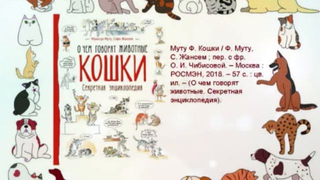 Четвероногие любимцы.mp4