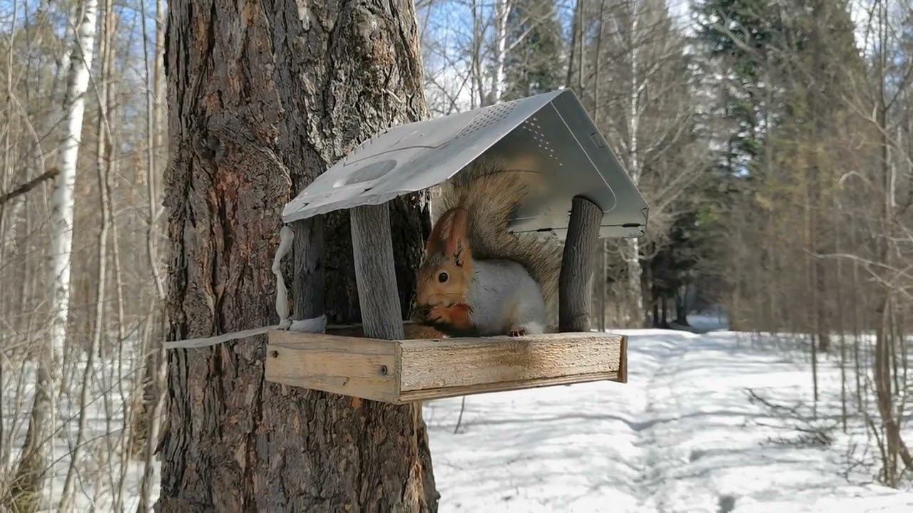 13 апреля 2023 г.