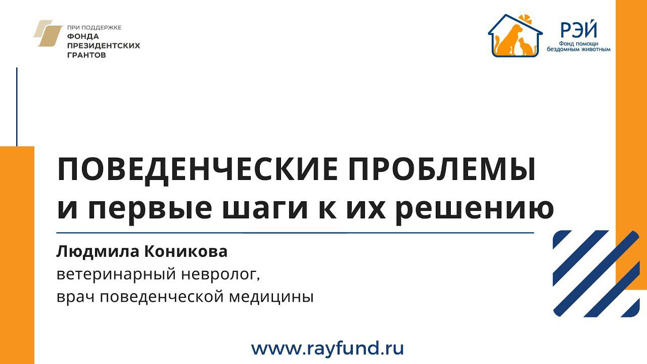 Поведенческие проблемы и первые шаги к их решению