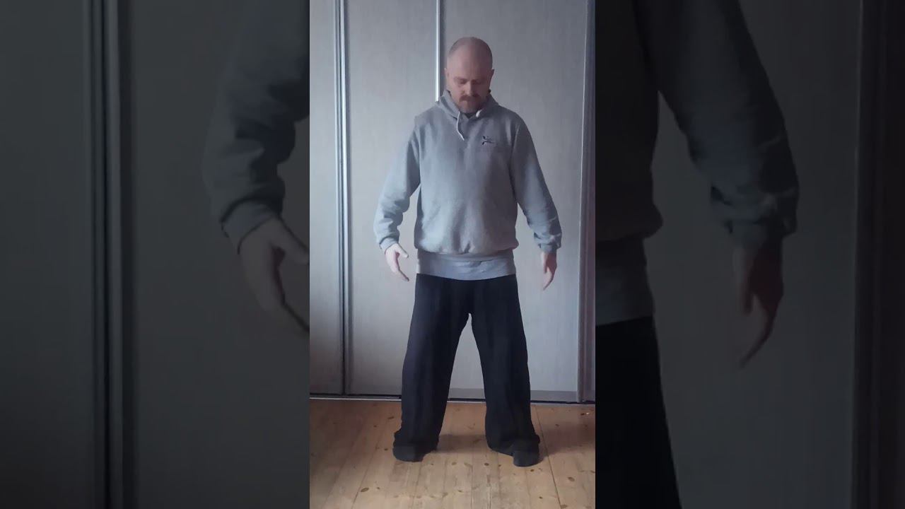 Даосская алхимия. Большая веселая обезьяна