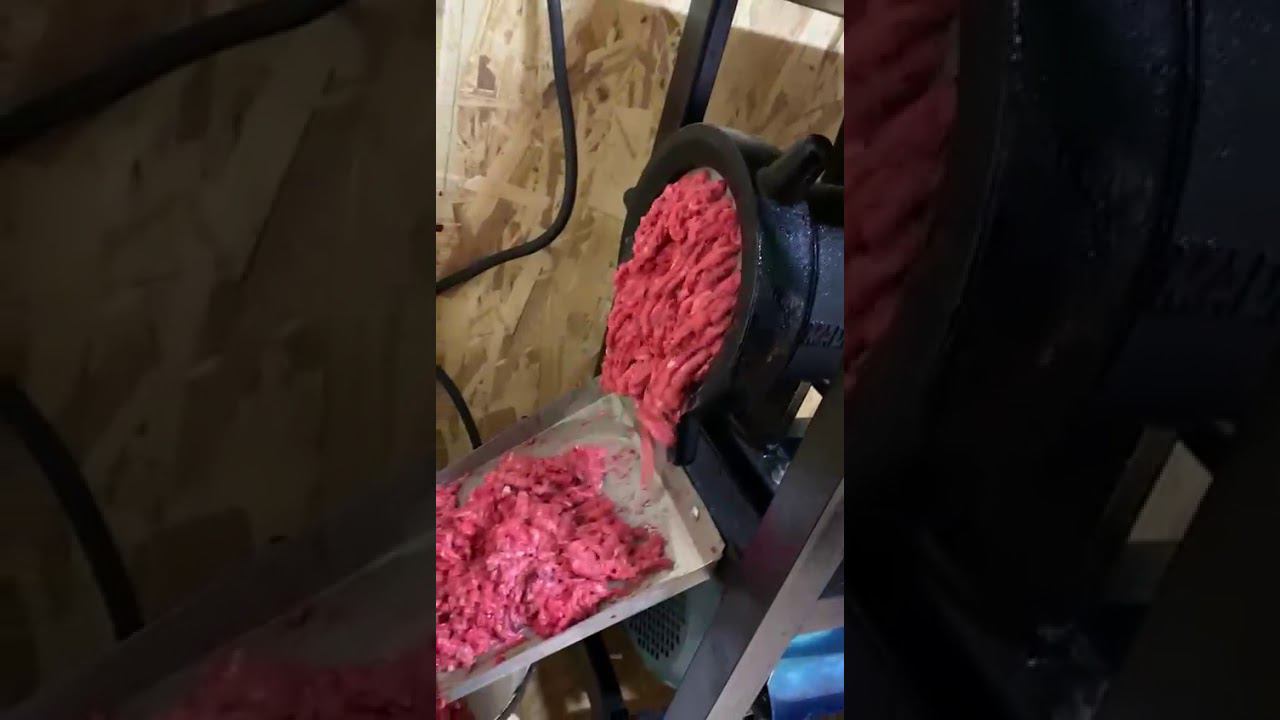 Мясорубка костедробилка измельчитель шредер для костей на кроличьих головах