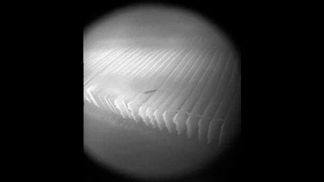 Раскачивание ширмового пароперегревателя (ШПП-2 фронт) на работающем котле П-67 (отметка 90 метров)