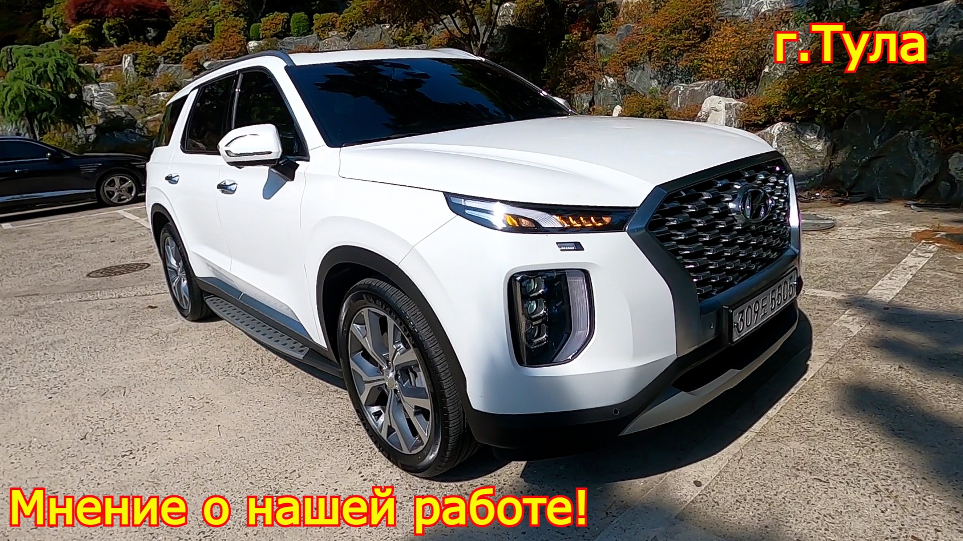 Авторевизия.рф - отзыв о работе от Александра из г.Тула!