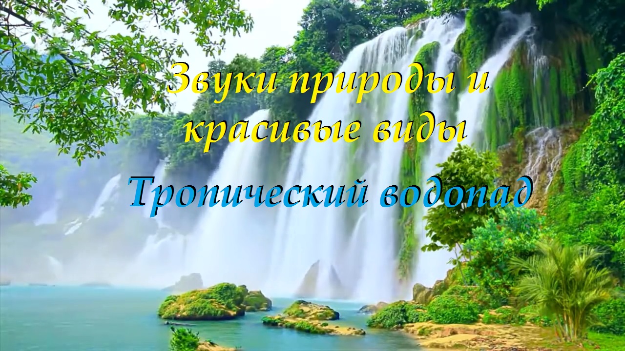 Звуки природы и красивые виды, тропический водопад. Nature sounds and beautiful views, tropical wate