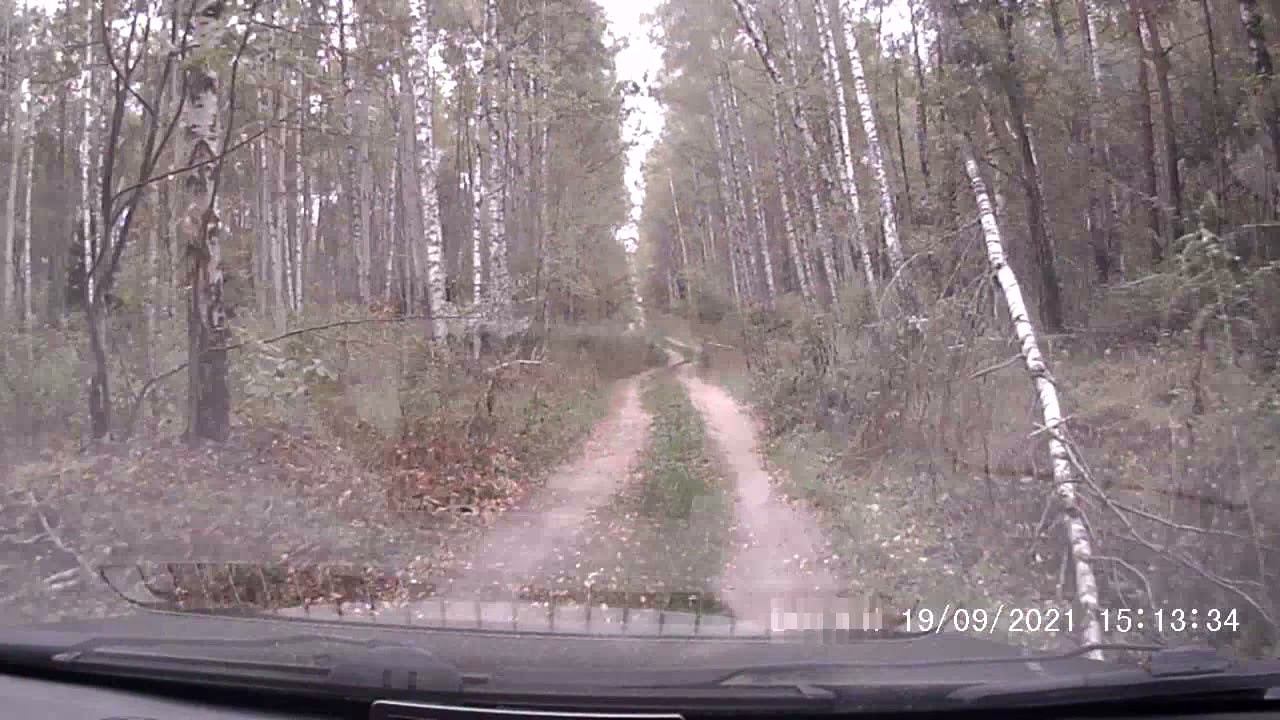 Лосишка