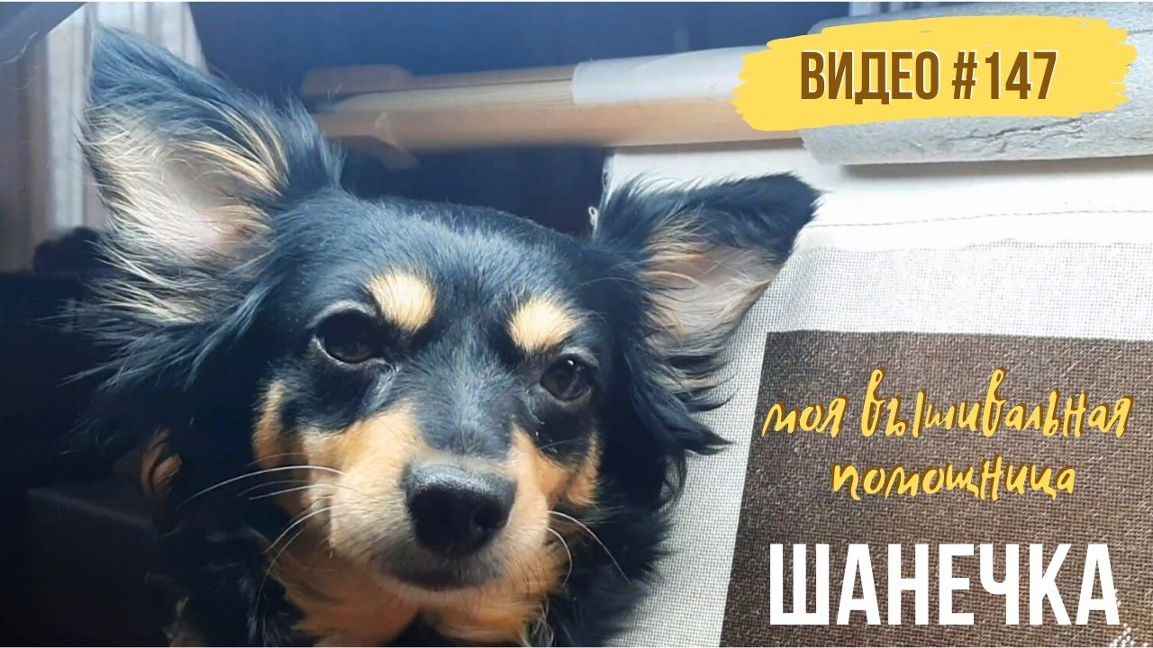 #147 Шанни и вышивка