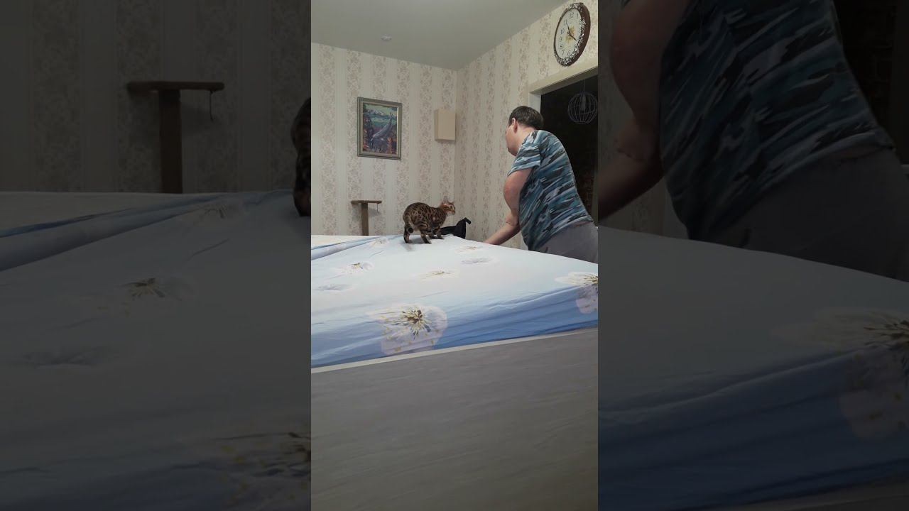 Мокко контролер ;)