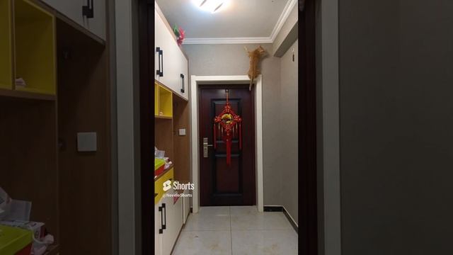 Котёнок 2023, часть № 12