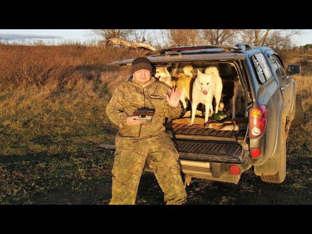 Каюр Злата Чеза на реке