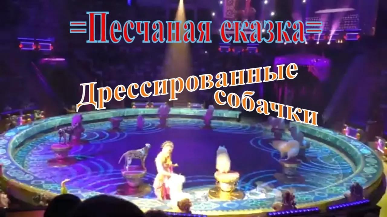 Шоу Гии Эрадзе =Песчаная сказка=. Дрессированные собачки.