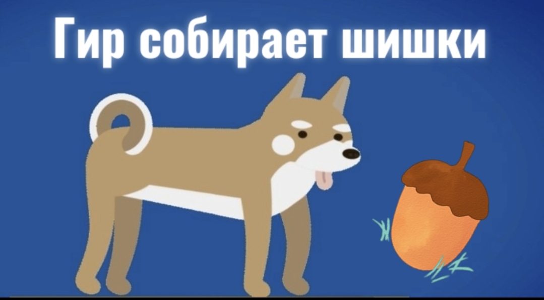 Гир собирает шишки