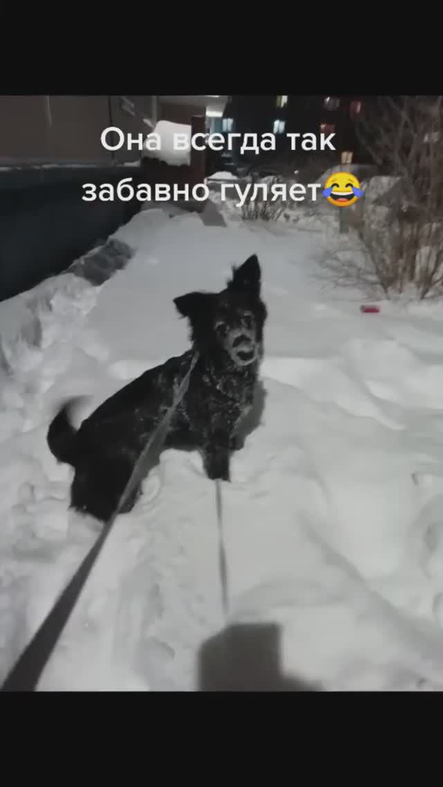 Не хочет идти домой🤗