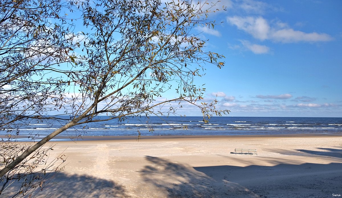 Осенняя Юрмала.mp4