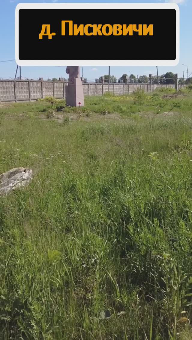 Памятник Ленину. д. Писковичи. Псковская область #история #память