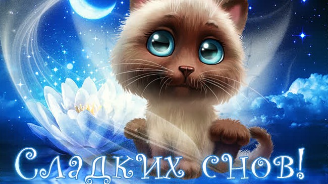 Сладко засыпай, любимый мой! Спокойной ночи!