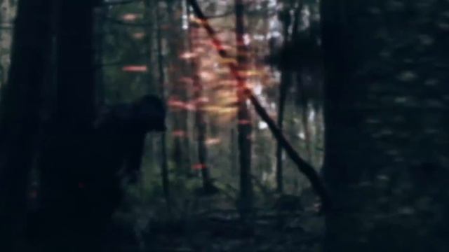 Orbit Culture -  Mute The Silent