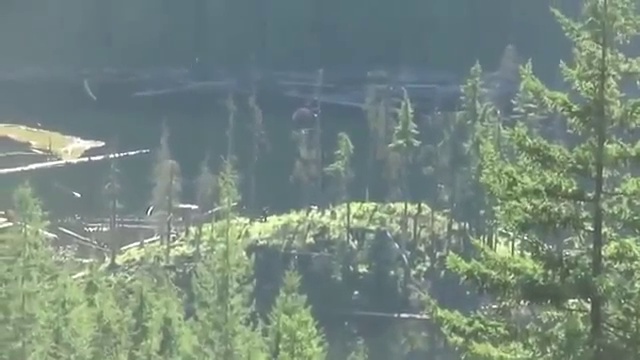 Засняли Йетти в лесах Канадчины...