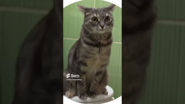 Наша Сонечка