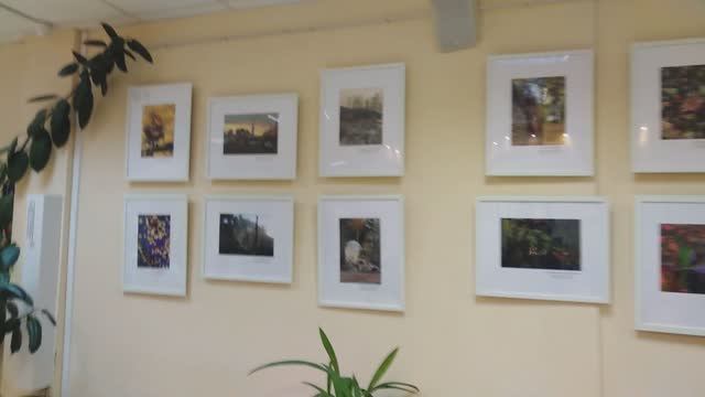 Фотовыставка "Мелодия осени". Экспозиция