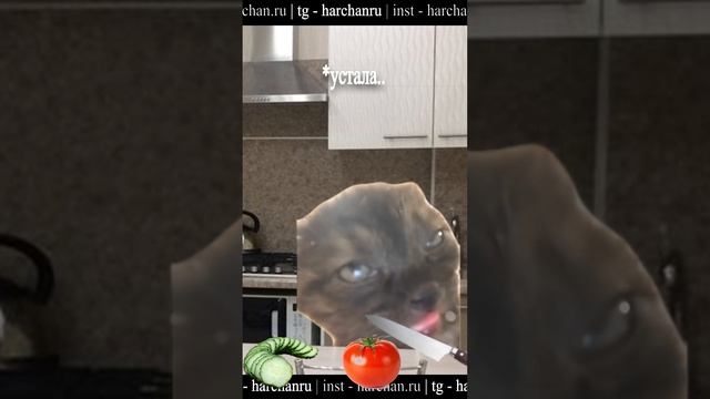 мне нечего сказать!

#harchan