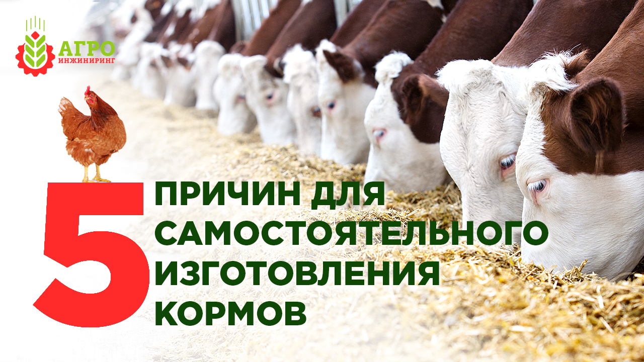 Пять причин которые приведут вас к самостоятельному производству кормов.