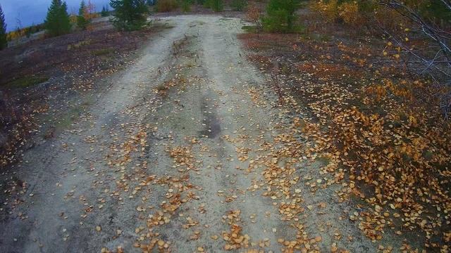 Осень на Крайнем Севере