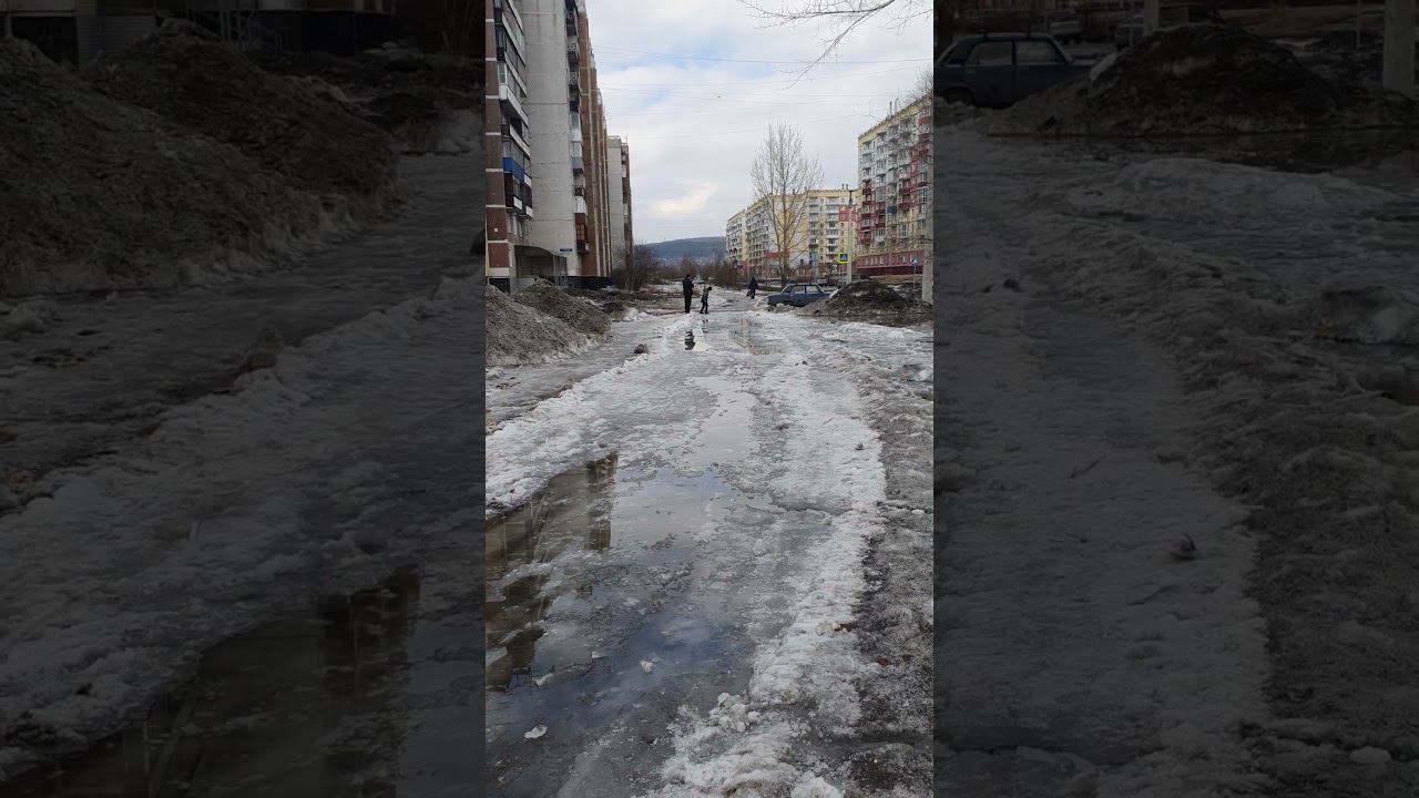 Шолохова утонула,#shorts.