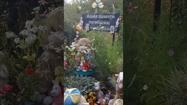 Тыл Ветеранов 24.08.23