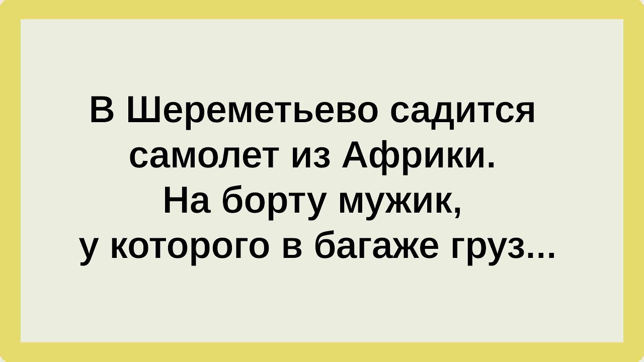 В ШЕРЕМЕТЬЕВО садится САМОЛЁТ из Африки. Смешные анекдоты и истории каждый день без повторов! Юмор!