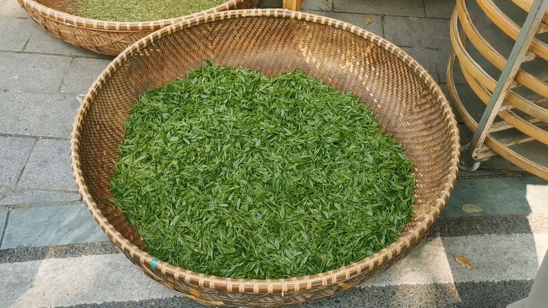 西湖茶村周阿姨茶園. В гостях у тётушки Чжоу на озере Си Ху и её чайные угодья.