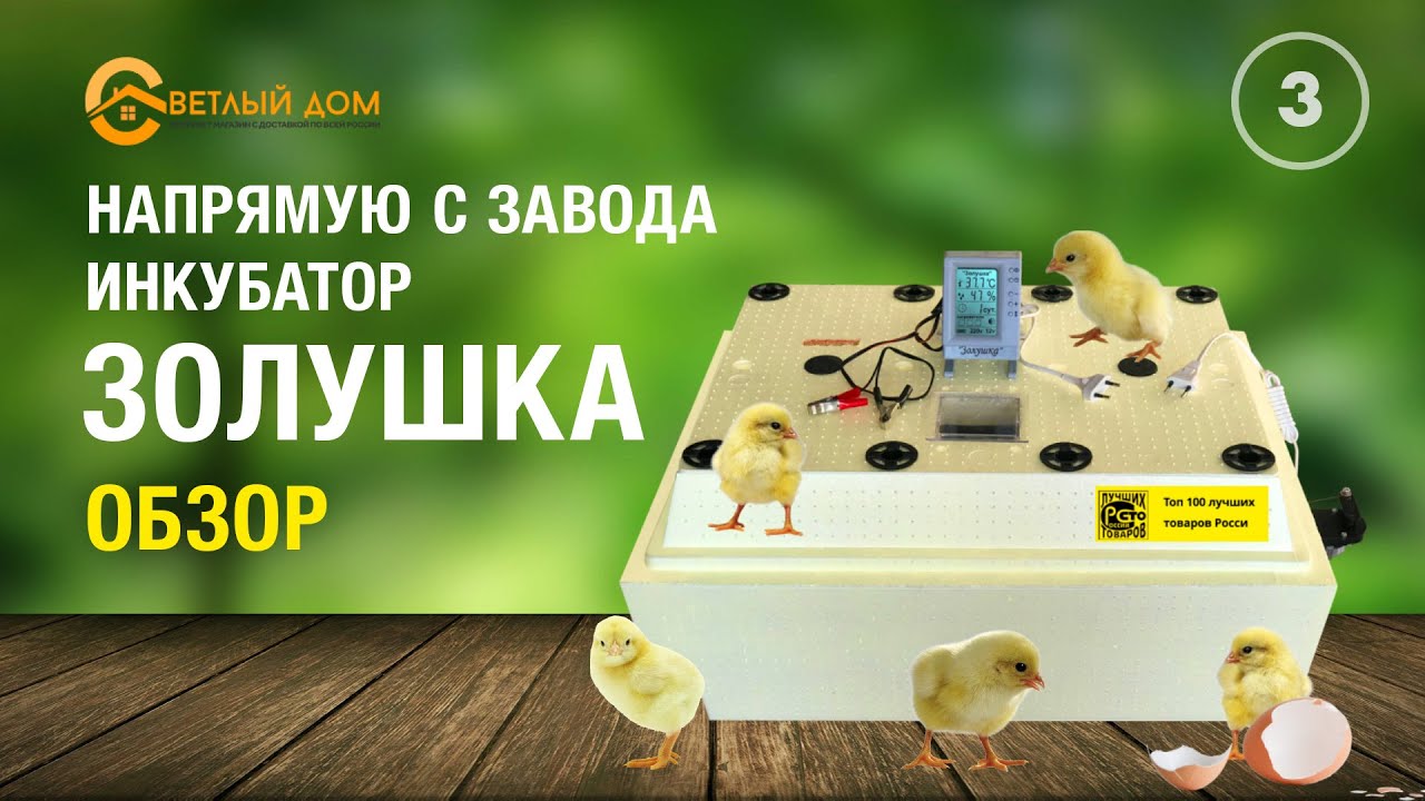 3. Бытовой инкубатор Золушка ВИДЕООБЗОР инкубатора Золушка. Инкубатор для дома.