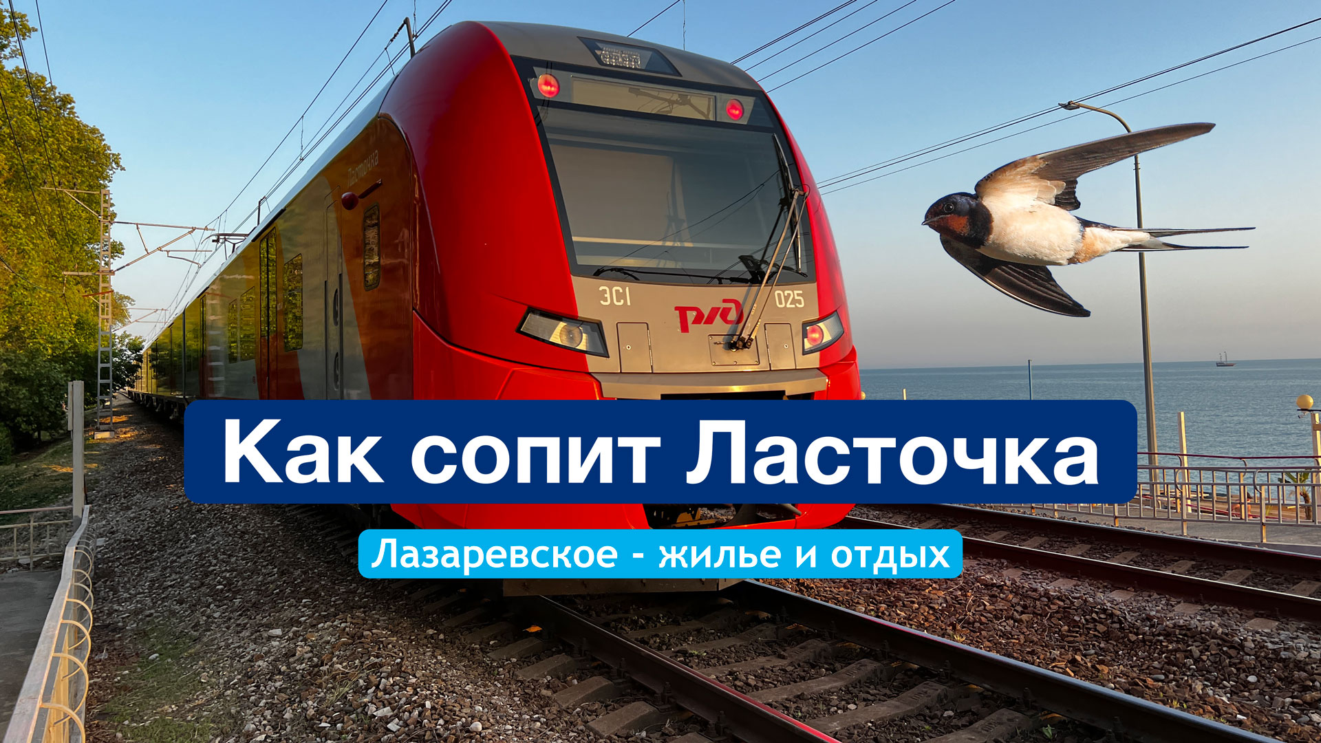 Как сопит Ласточка! Стоит ли покупать билеты в этот вагон?