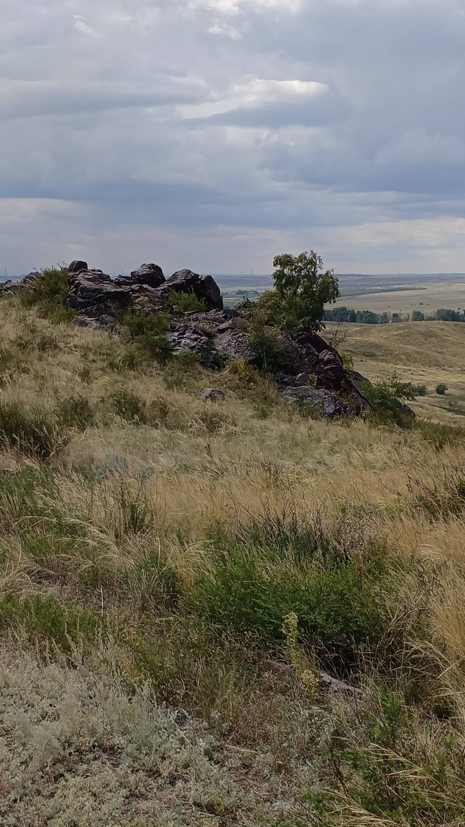 Говорящий цветочек