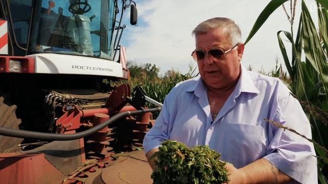 Реакция белгородских аграриев на кормоуборочный комбайн RSM F 2650 от Ростсельмаш