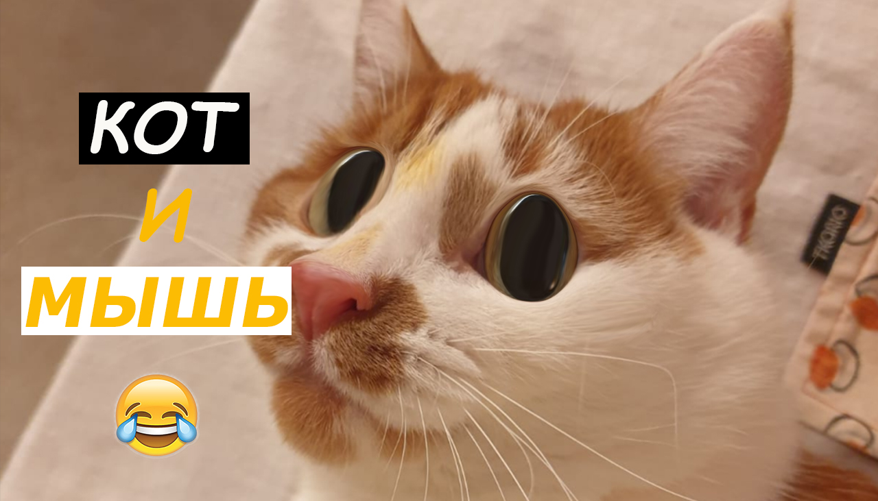 Кот и Мышь. Остросюжетный детектив