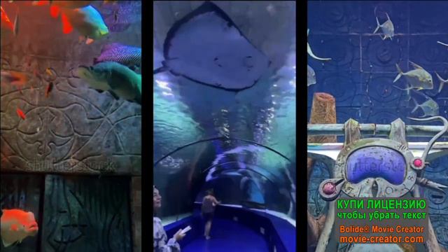 Турция. Анталия. г. Сиде. Отдых дочки с внучкой.