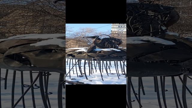 Достопримечательности Хабаровск