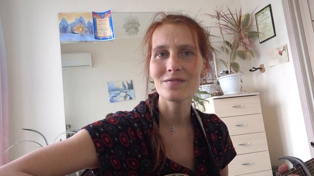 Снег и сосны